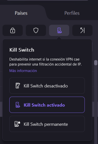Proton VPN Opiniones Sobre sus Funciones y Precio (2024)